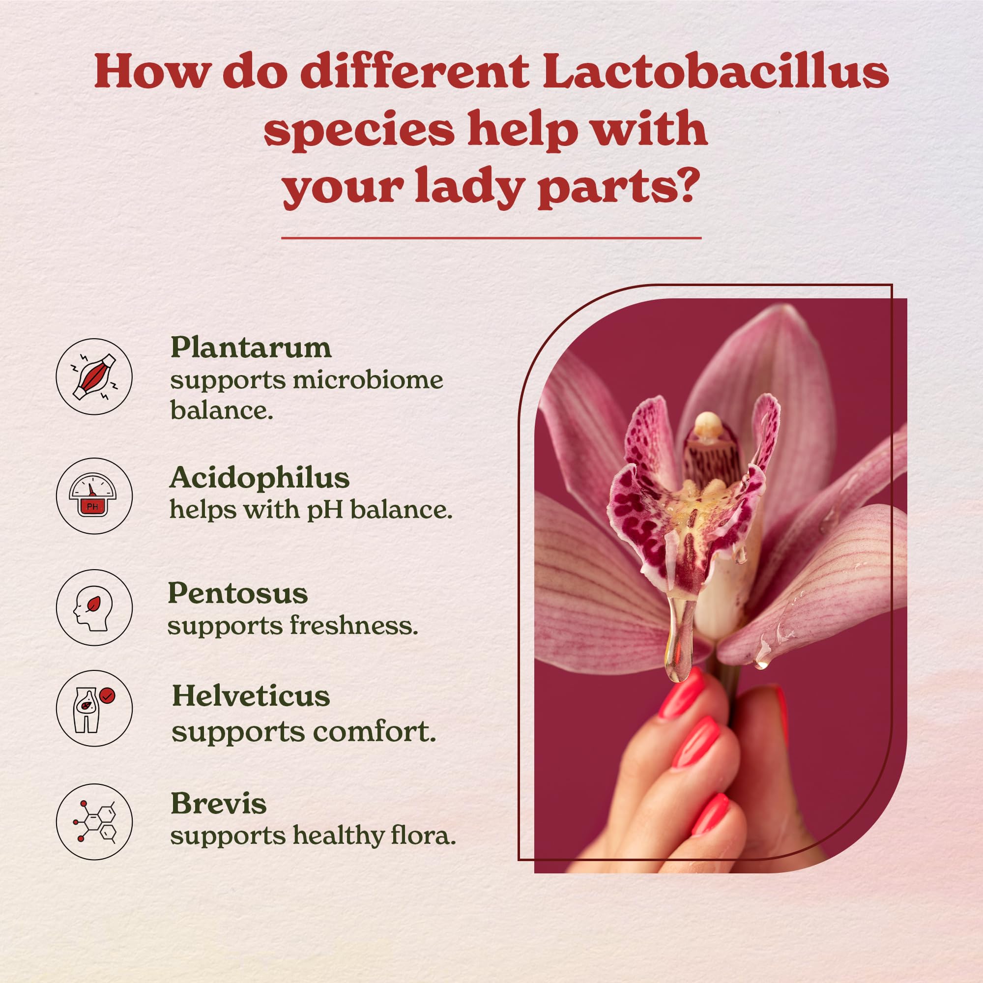natural herbal supplements for digestion