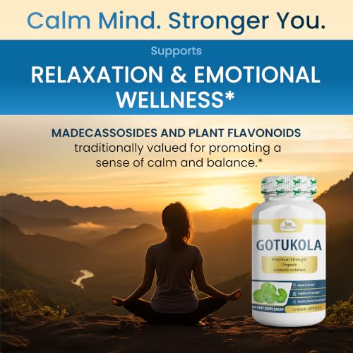 Natural herbal supplements for focus