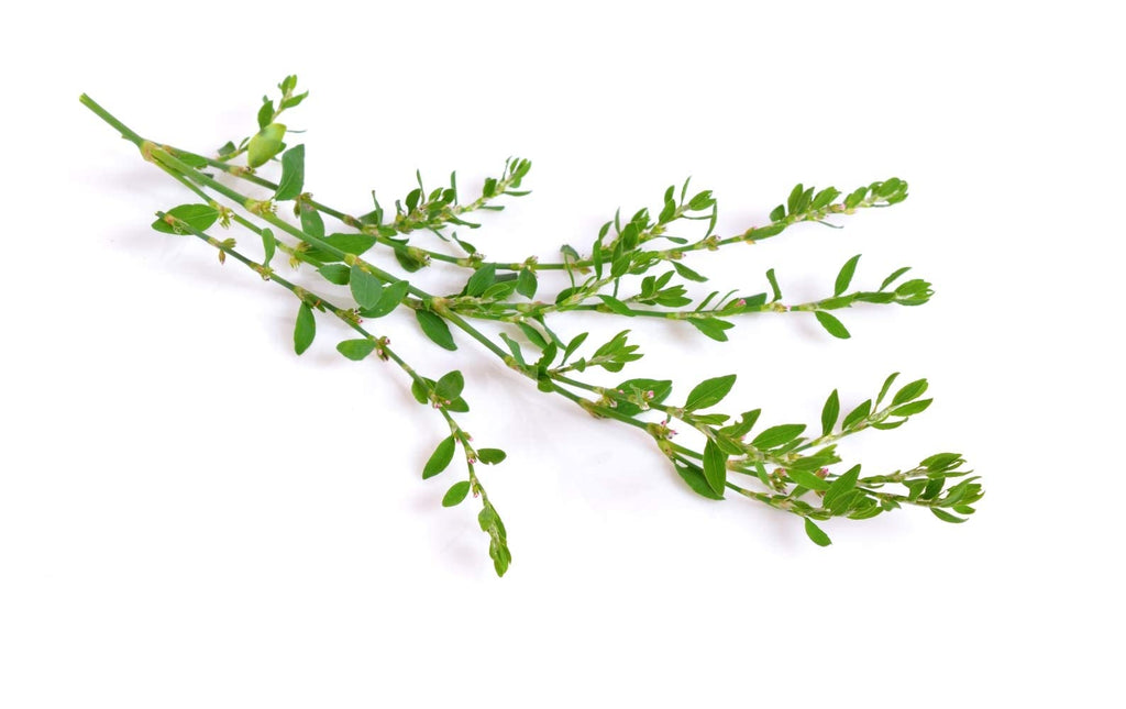 Natural herbal supplements for stress relief