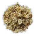 natural herbal supplements for wellness