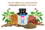 Natural herbal support for immunity