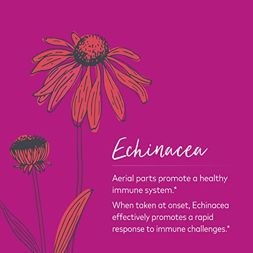 natural herbal support with echinacea