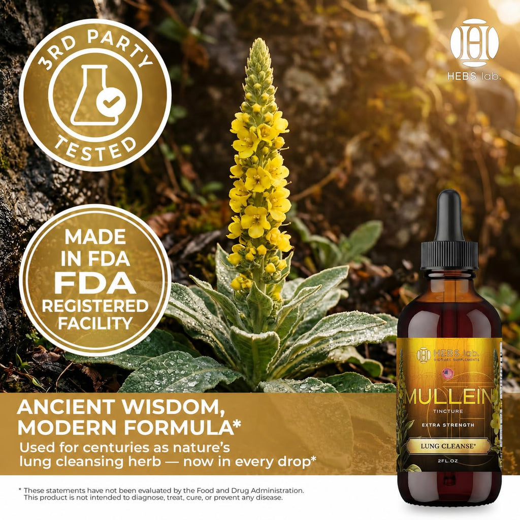 natural herbal support with mullein