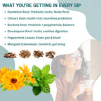 Natural herbal tea for gut health