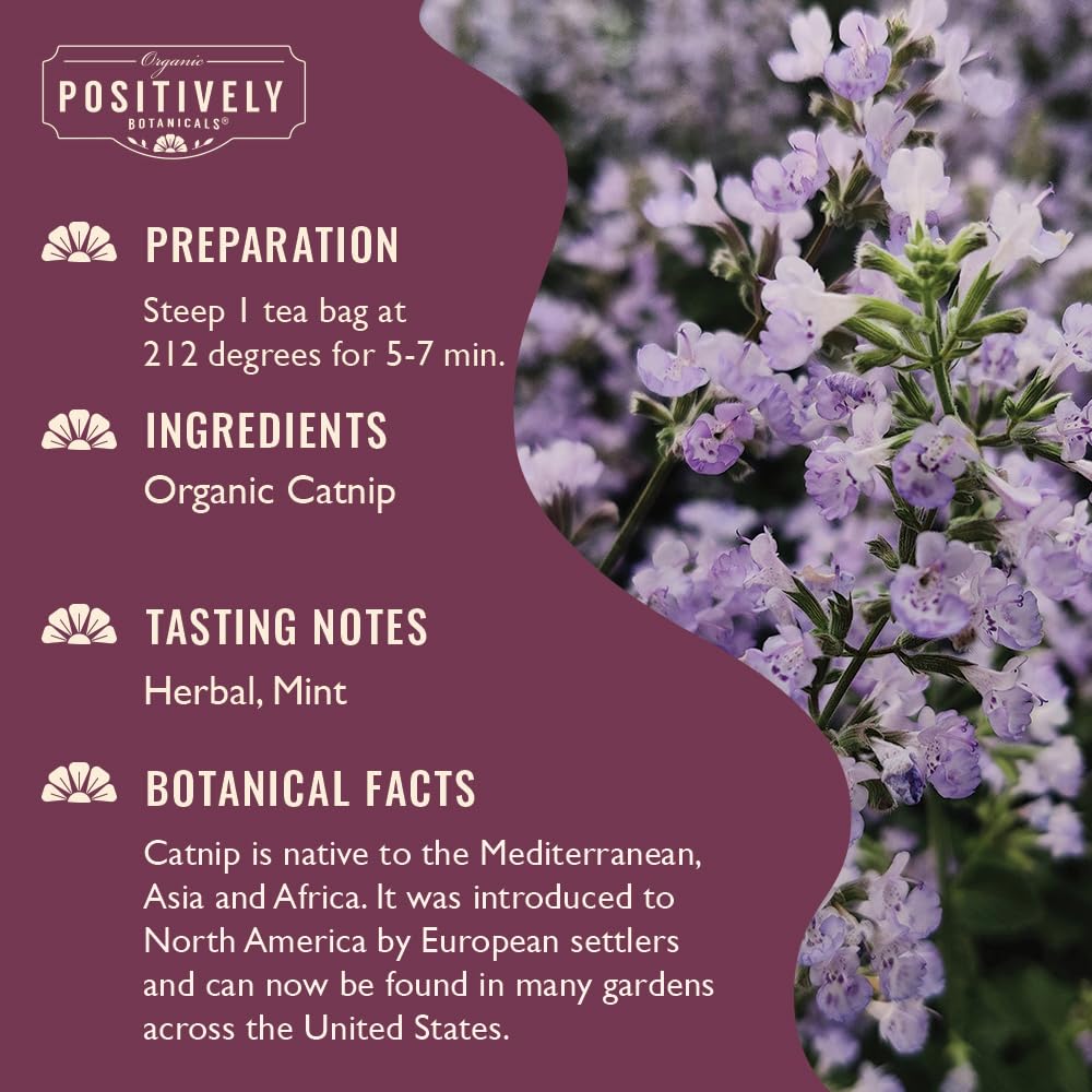 natural herbal tea for relaxation