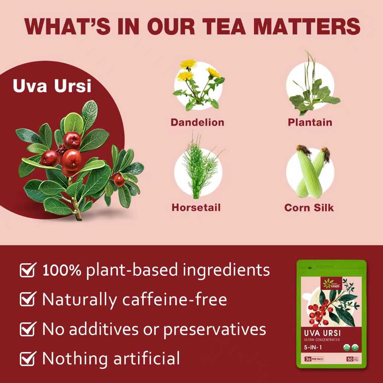 natural herbal tea for urinary health