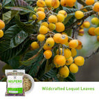 natural herbal tea for wellness