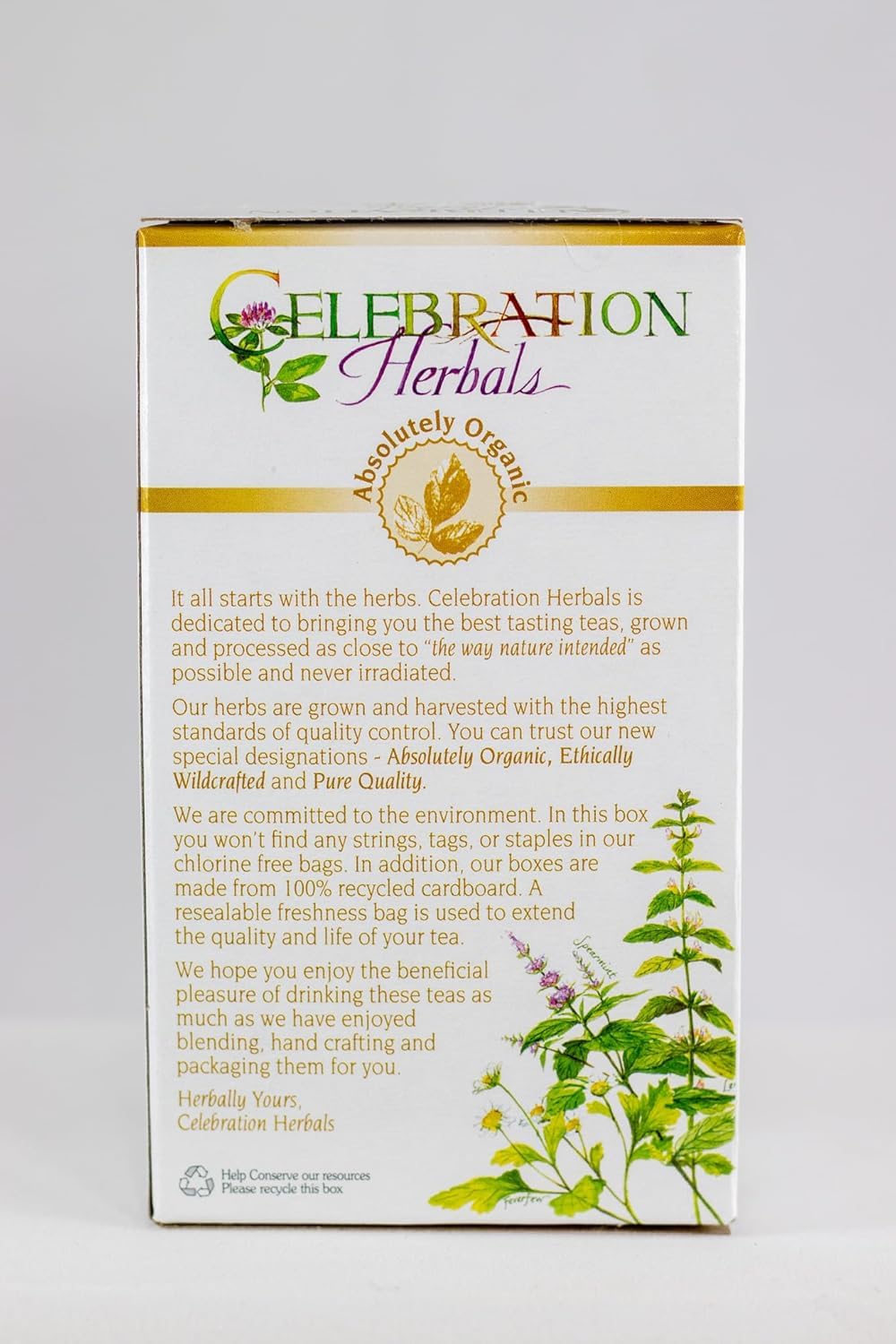 natural herbal tea for wellness