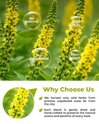 natural herbal tea for wellness