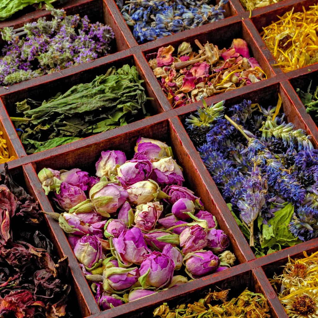 natural herbal tea for wellness