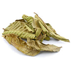natural herbal tea for wellness