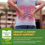 natural herbal tea for wellness