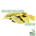 natural herbal tea for wellness