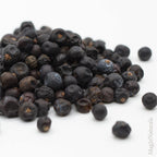 natural herbal tea ingredient juniper