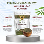 natural herbal tea ingredient mullein