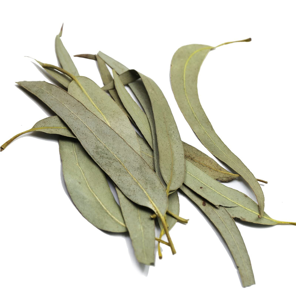 natural herbal tea with eucalyptus