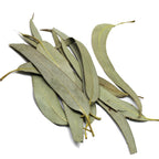 natural herbal tea with eucalyptus