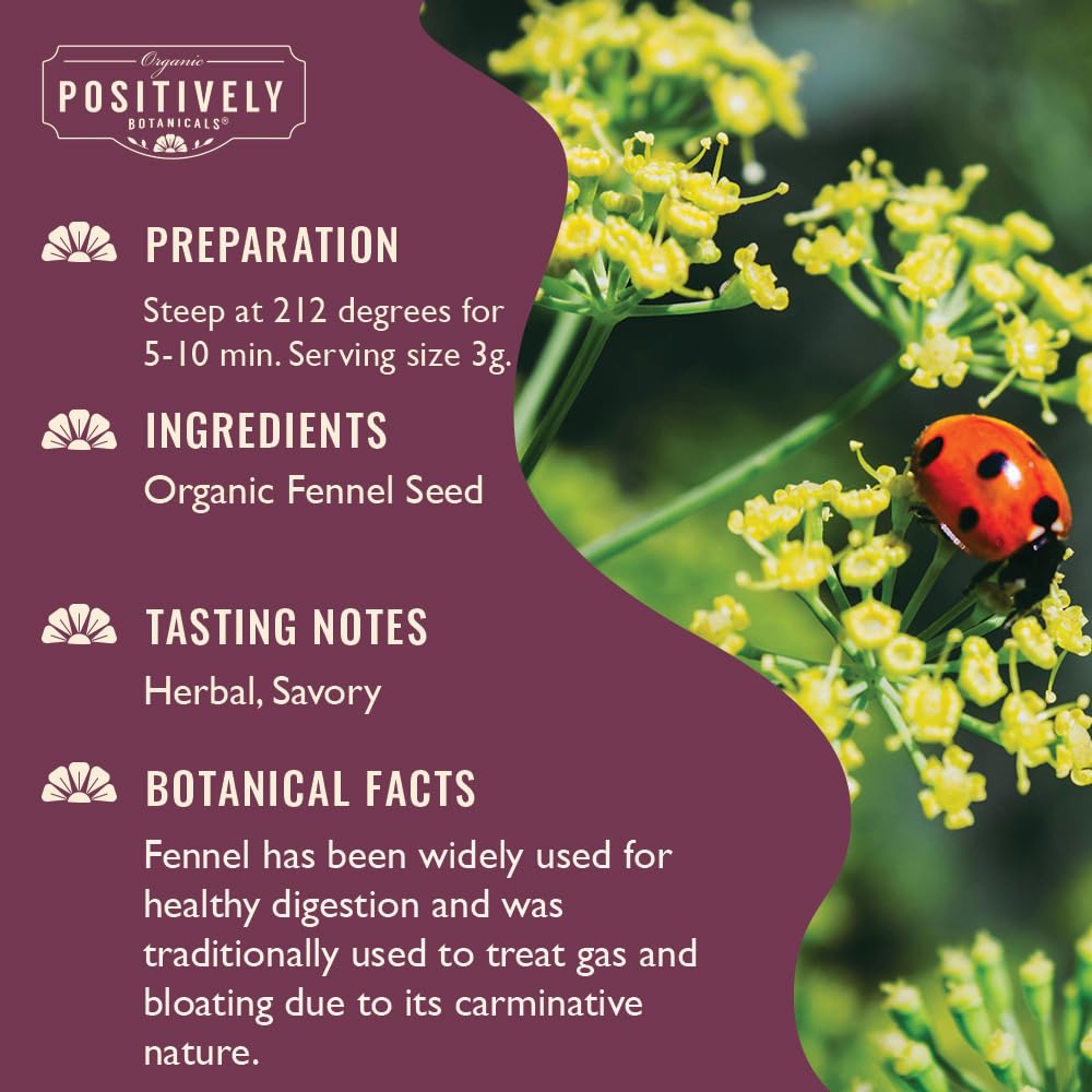 natural herbal tea with fennel
