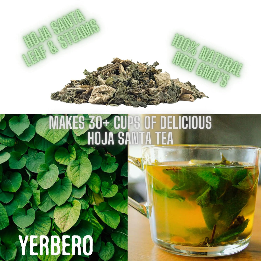 Natural herbal tea with Hoja Santa