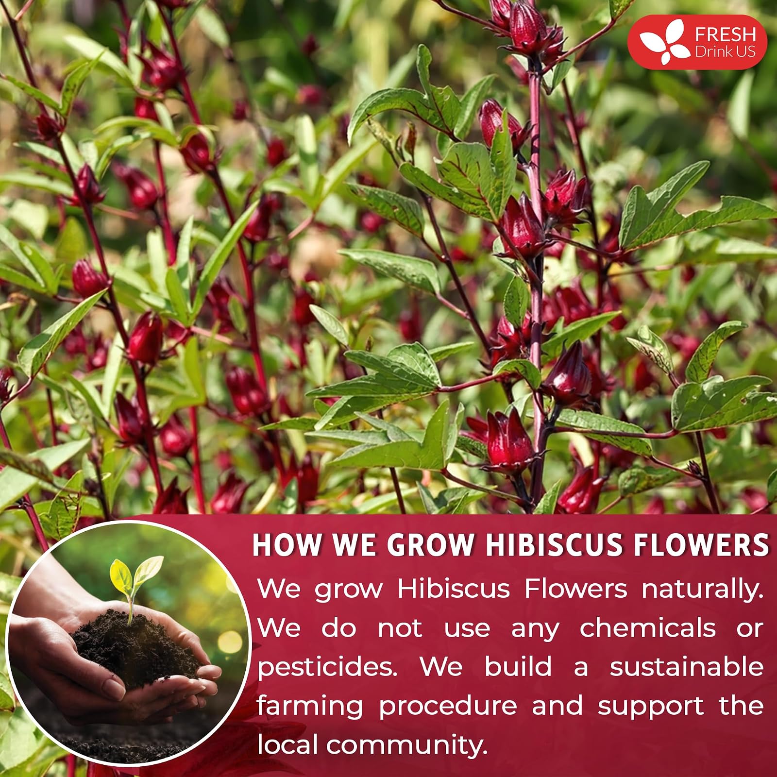 natural hibiscus flower tea blend