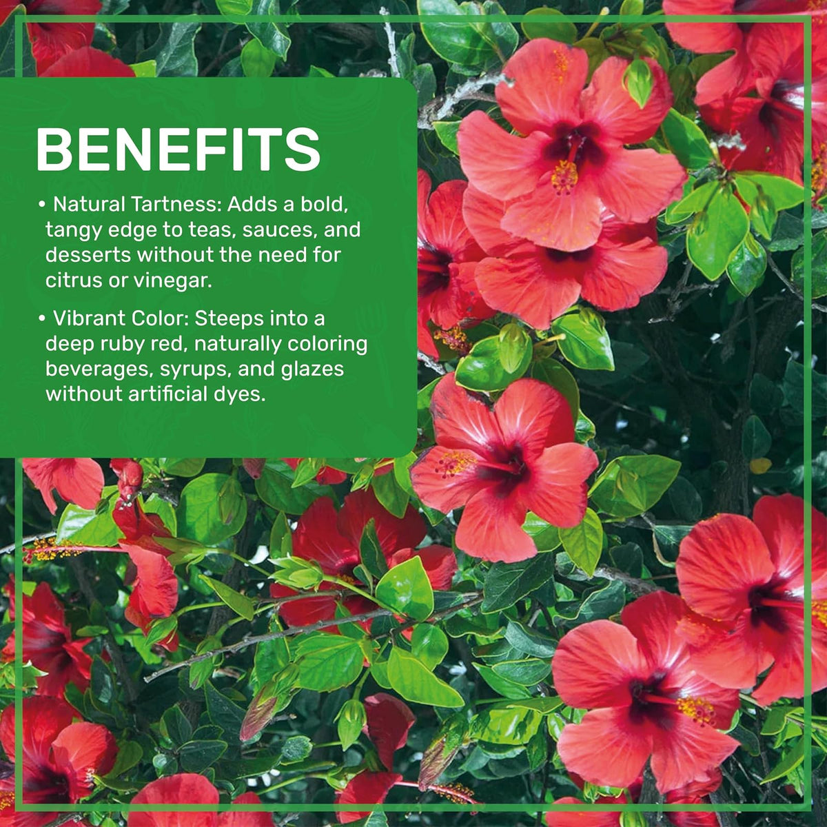 natural hibiscus flowers for health