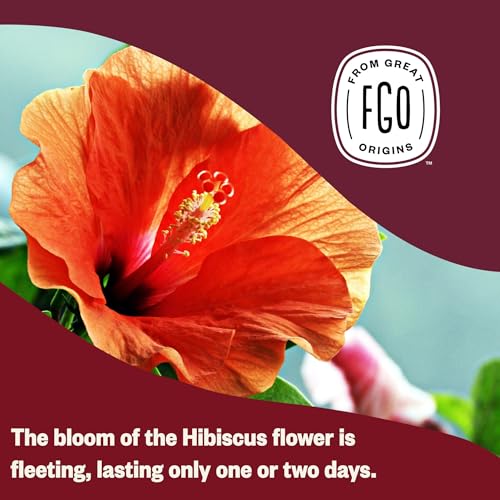 natural hibiscus tea for wellness