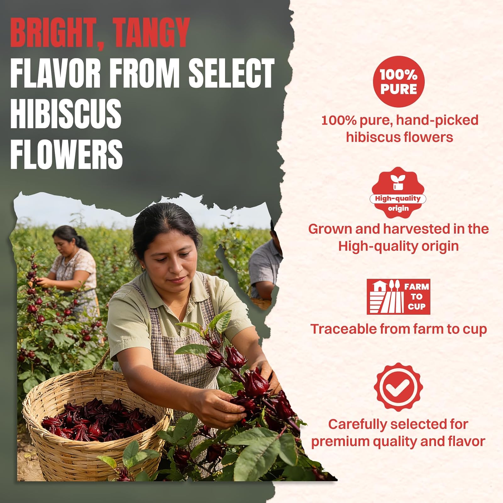 Natural hibiscus tea for wellness