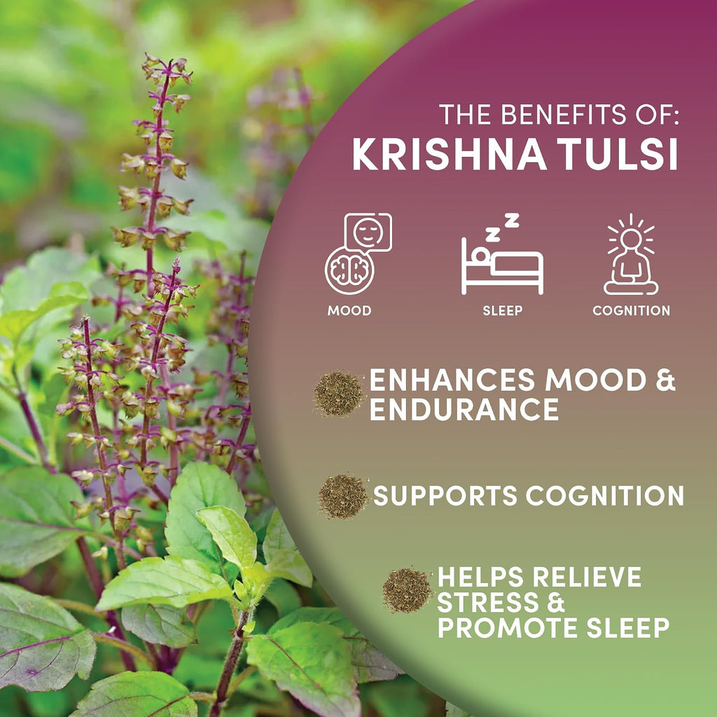 natural holy basil tea benefits