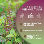natural holy basil tea benefits