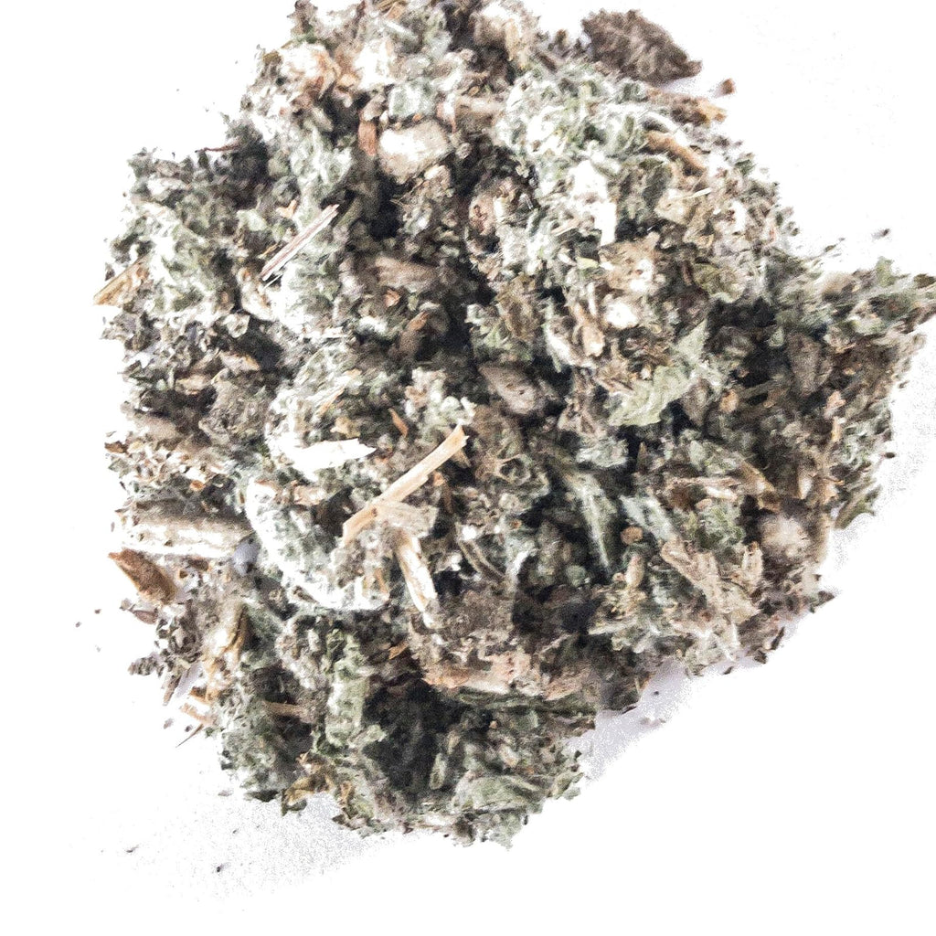 natural horehound herbal infusion