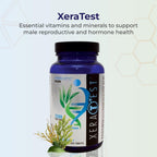 natural hormonal support for men