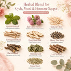 natural hormone balance herbal infusion