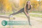 natural horse chestnut extract benefits