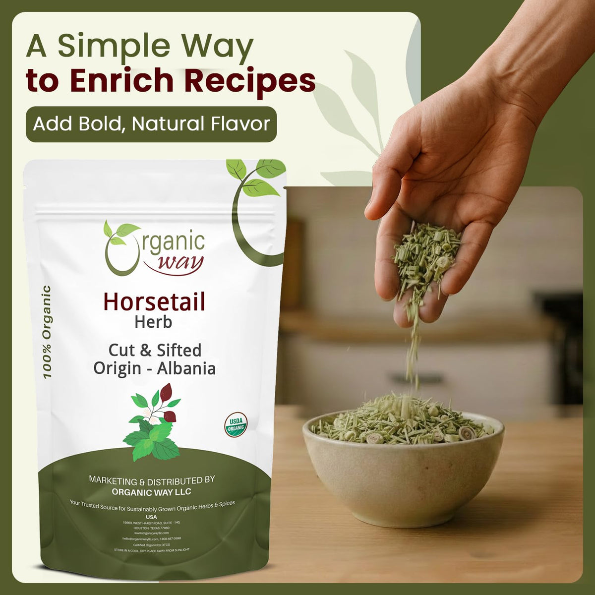 natural horsetail herb health benefits