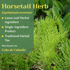 Natural horsetail tea for detox