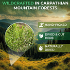 Natural horsetail tea for wellness
