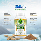 natural humic and fulvic acid