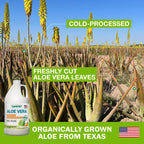 natural hydration with aloe vera
