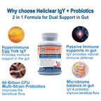 Natural IgY immunoglobulins for wellness