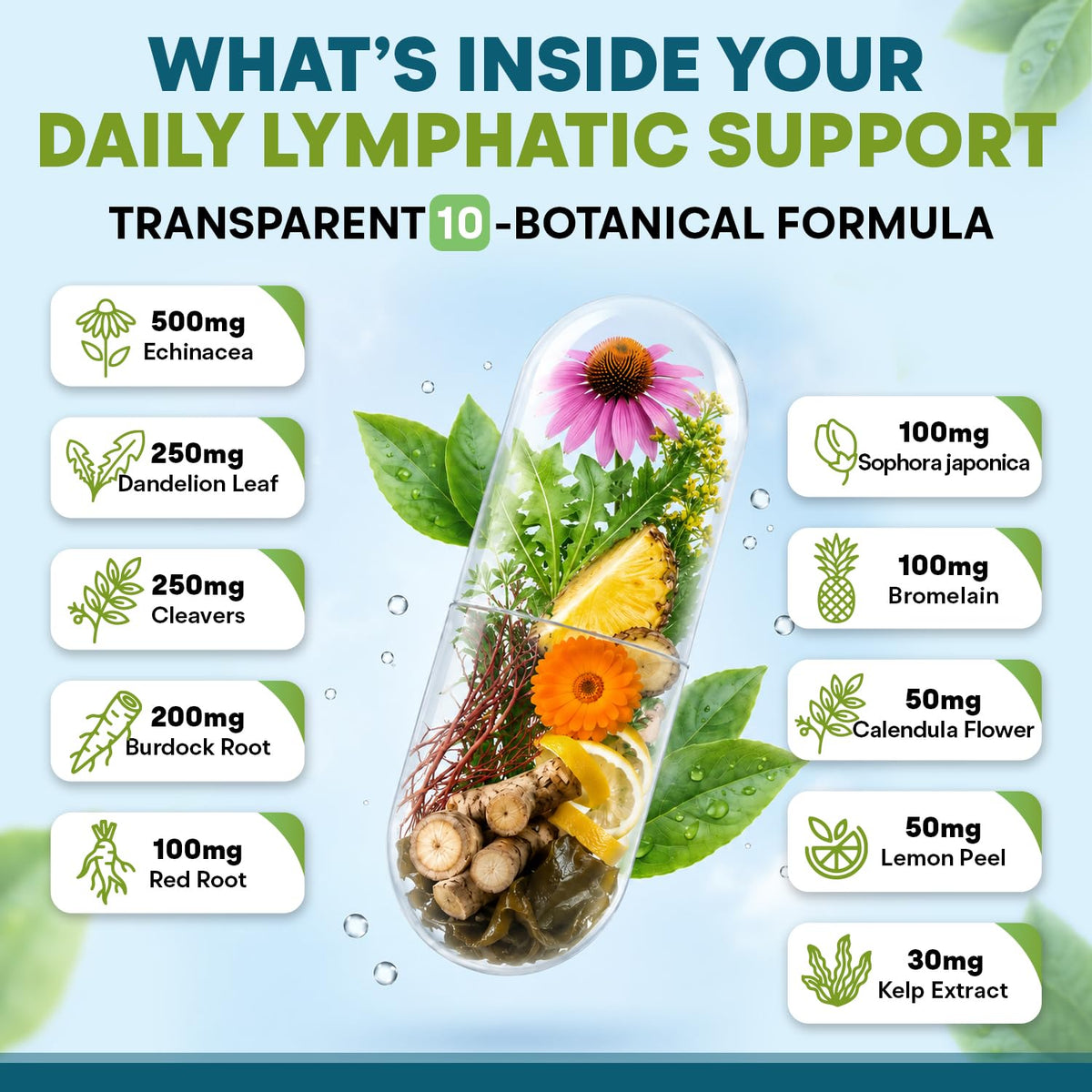 natural immune booster capsules