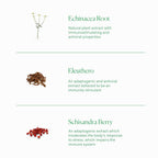 natural immune booster drops