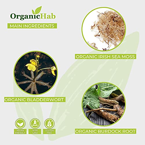 natural immune booster with burdock root