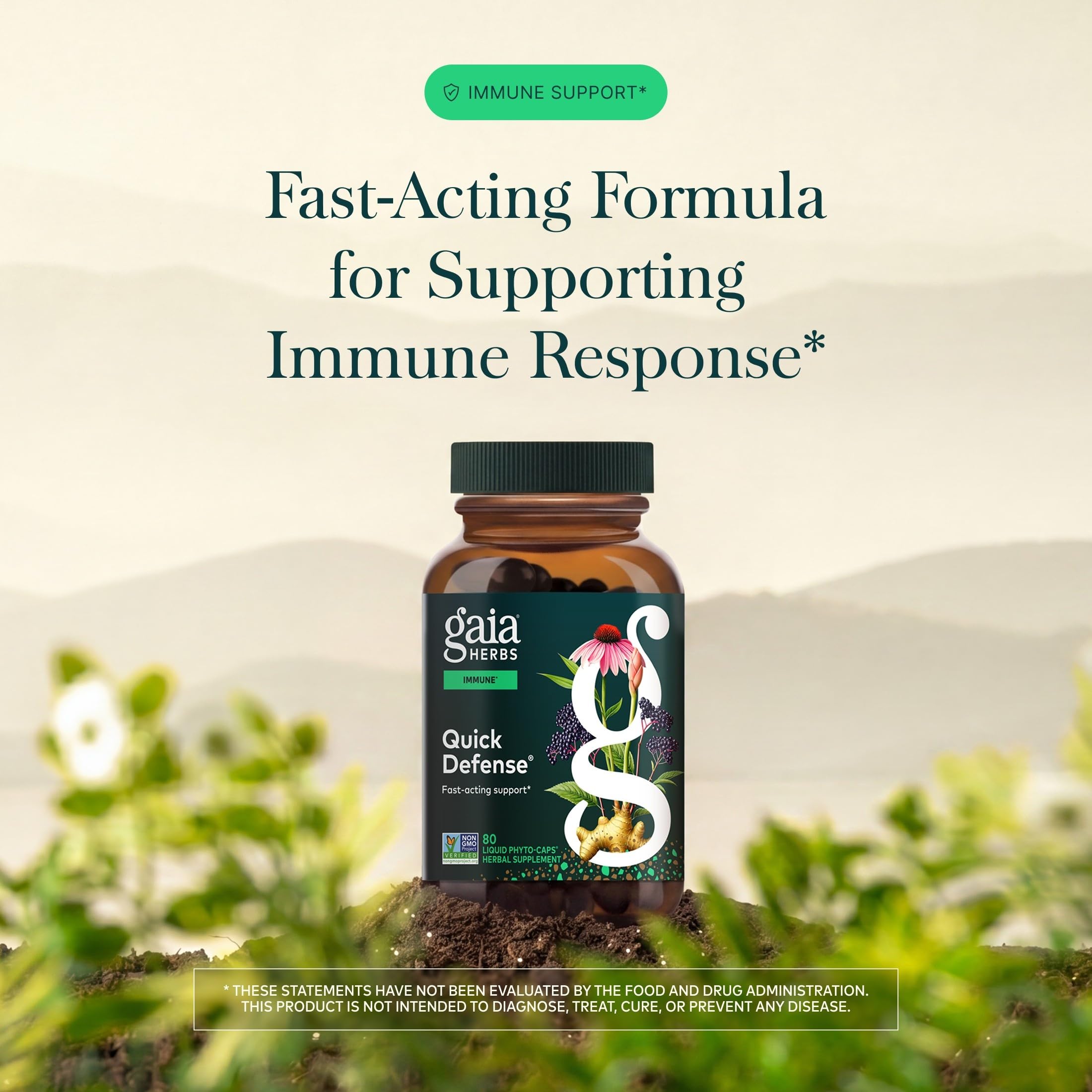 natural immune booster with ginger