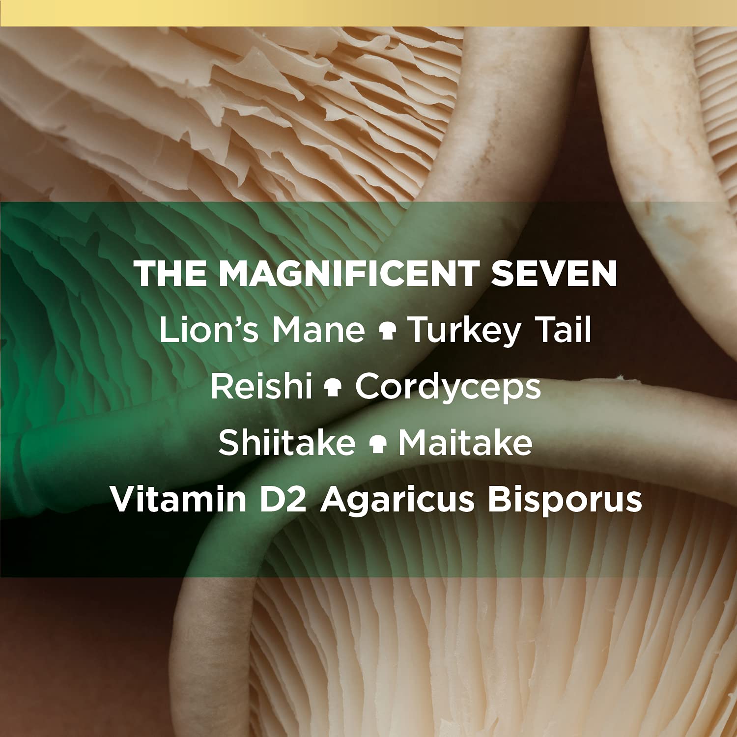 natural immune booster with mushrooms