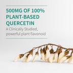 Natural immune booster with quercetin