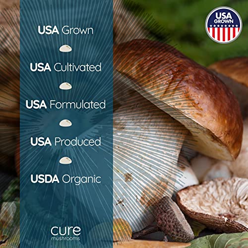 natural immune boosting mushrooms