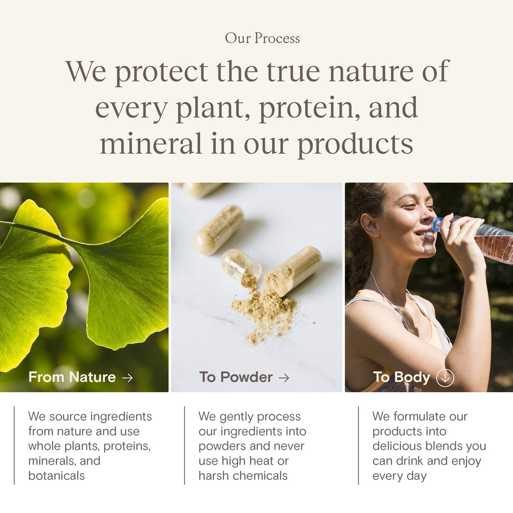 natural immune health support supplement