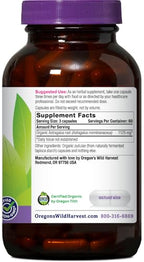 natural immune support astragalus capsules