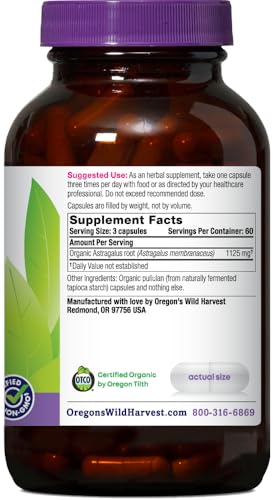 natural immune support astragalus capsules