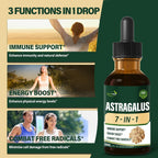 natural immune support astragalus extract